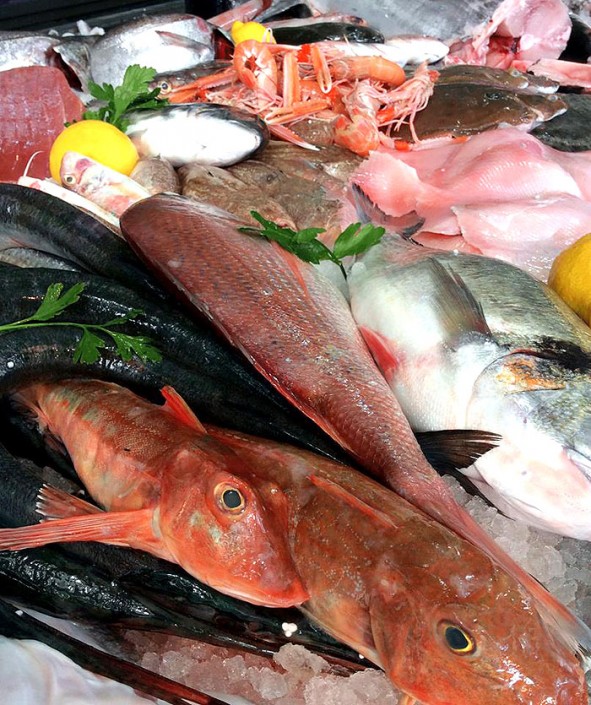 Fish, lots variety of fish! | Culinary News# | Genius cook - Healthy ...